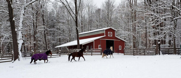 Dynamic Fasteners Releases Revised Tool and Fastener Guide | Frame ...